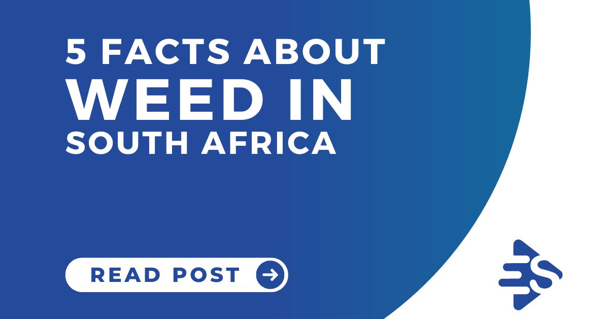 Weed In South Africa & 5 Interesting Facts We Bet You Didn’t Know ...